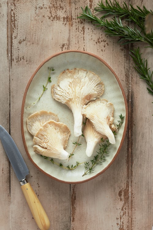 ¡10 Recetas de Champiñones 🍄 que te Volarán la Cabeza!