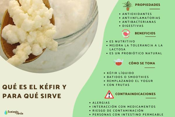 Descubre las Mágicas Propiedades del Kefir de Leche 🥛 ¡No te lo pierdas!