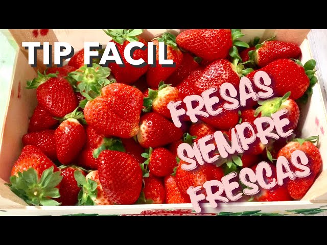 ¡Descubre el Secreto Para Conservar Frescas las Fresas! 🍓🥳