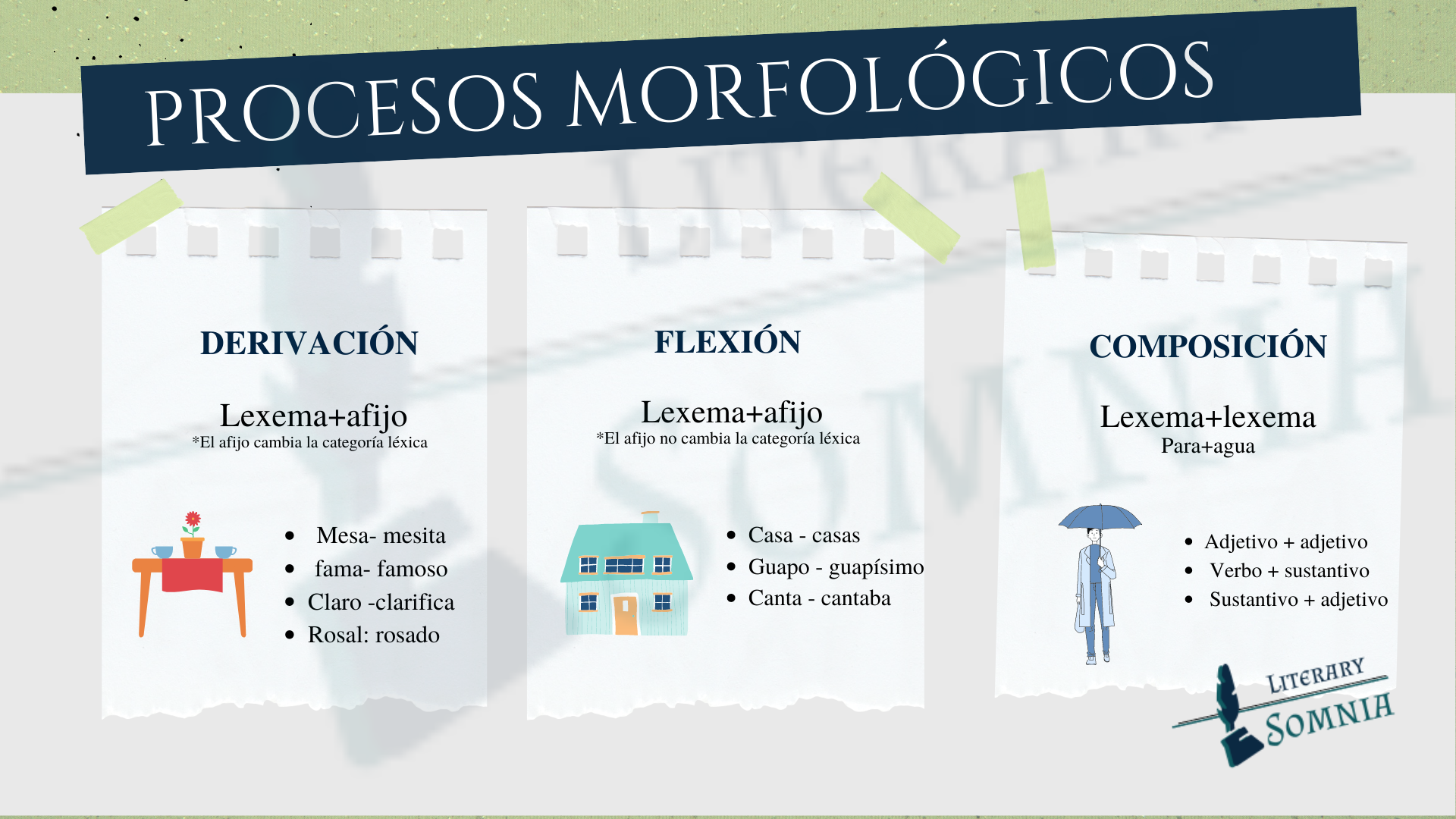 🌟 Descubre los 5 procesos morfológicos CLAVE 🤯 ¡Imprescindibles para ...
