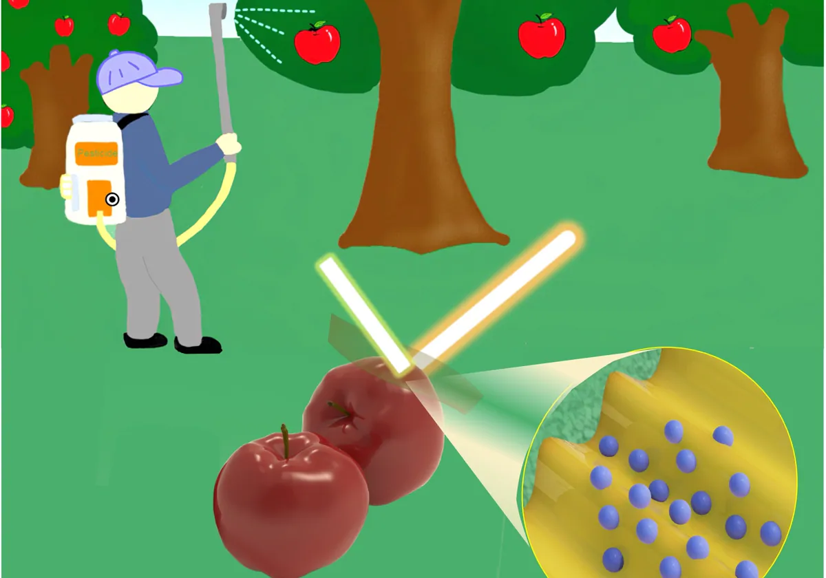 🍎🔪 ¡Descubre por qué es IMPRESCINDIBLE pelar las manzanas antes de ...