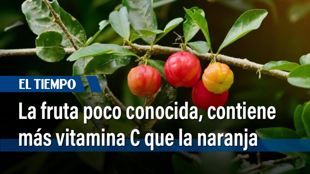 🍏🍉🍌 ¡Descubre la fruta que baja rápido el azúcar! 🍇🍊🍓