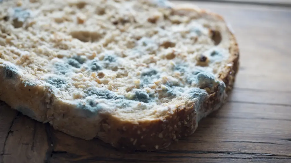 🍞🚫🦠 ¡Detén la enmohecimiento del pan! Descubre qué hacer cuando el pan ...