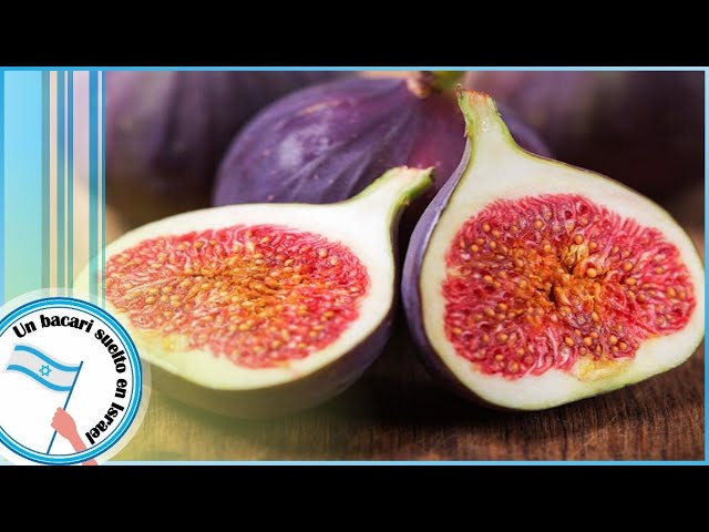 Las 7 Frutas de Israel 🇮🇱 ¡Descúbrelas YA! 🤯